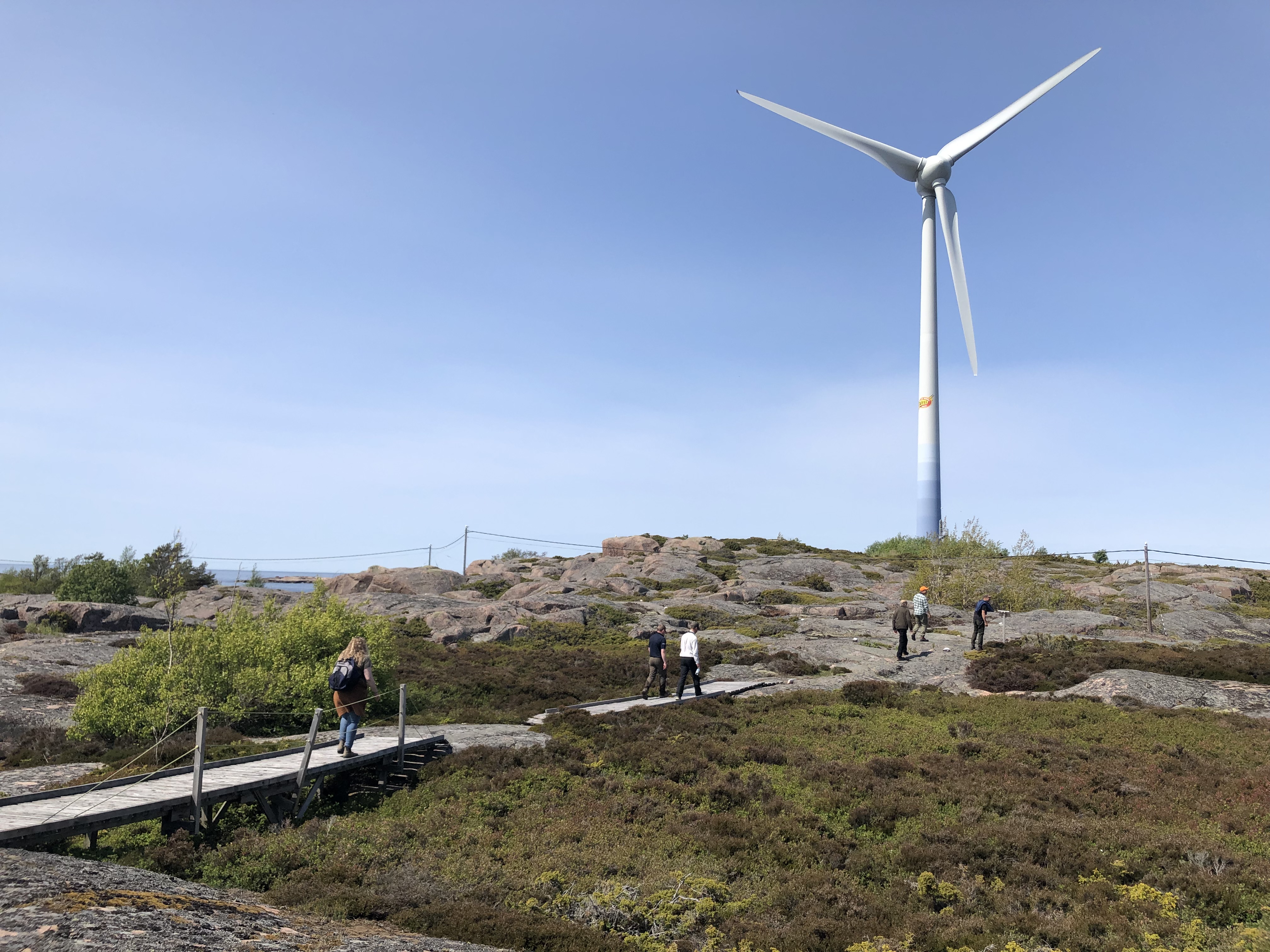 Ådans Vänner hosts international Eider workshop in Åland